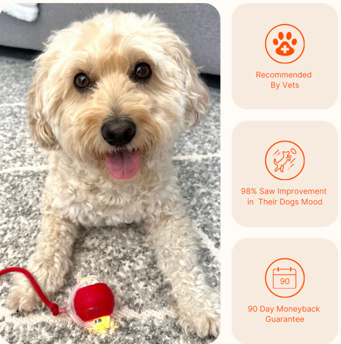 Interactive Rolling Ball – The Australian Essentials