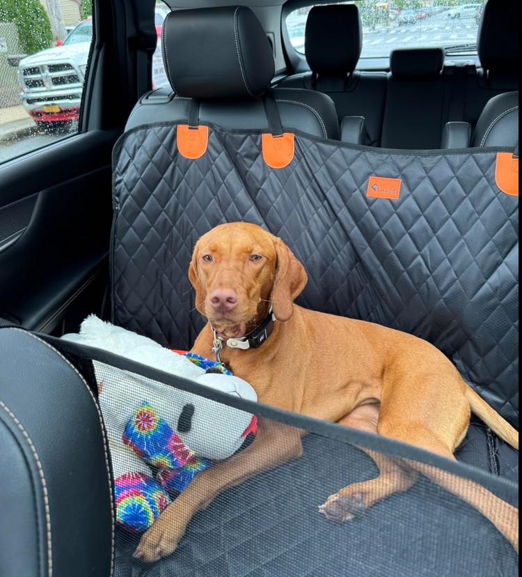 TravelPaws™ Hard Bottom Seat Cover - The Australian Essentials